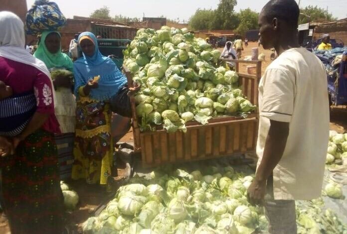 Mairie de Solenzo - Commune de Solenzo